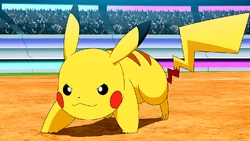 Pikachu (Pokémon)/Anime | Pokémon_NJ Wiki | Fandom