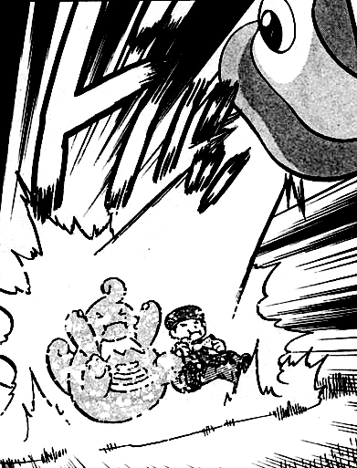 Status condition/Core & Side series games/Volatile status | Pokémon_NJ ...