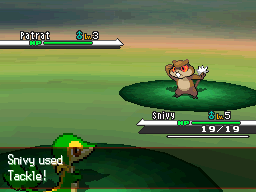 Tackle (move)/Other generations/V | Pokémon_NJ Wiki | Fandom