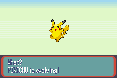 Evolution/Core-series/Animations/Generation III | Pokémon_NJ Wiki | Fandom