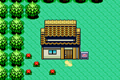Player's house/Core series games/Hoenn/Layout | Pokémon_NJ Wiki | Fandom