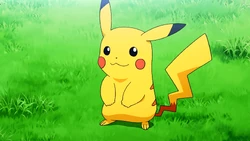 Pikachu (Pokémon)/Anime/Origins | Pokémon_NJ Wiki | Fandom