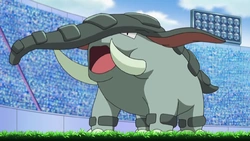 Donphan | Pokemonopedia Wiki | Fandom