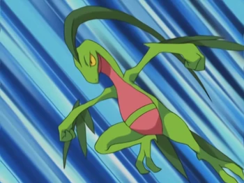 Ash's Grovyle | _+_+pokemon/other/bulbapedia Wiki | Fandom