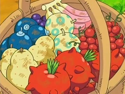 Berry | _+_+pokemon/other/bulbapedia Wiki | Fandom