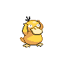 Psyduck | Wiki PokemonReloaded | Fandom