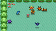Granja Pokémon | Wiki PokemonReloaded | Fandom
