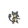 Rattata | Wiki PokemonReloaded | Fandom