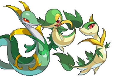 Pokemon Unova Starters Evolutions