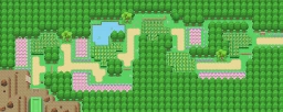 Route 5 | Pokemon Solar Light & Lunar Dark Wiki | Fandom