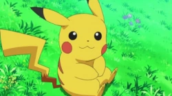 Pikachu | Pokemon's Team Wiki | Fandom