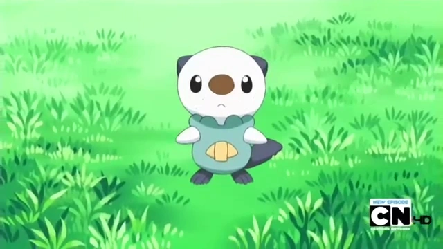 Oshawott | POKEMON: THE SERIES Wiki | Fandom