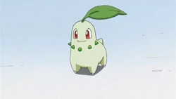 Pokemon Ash E Bayleef