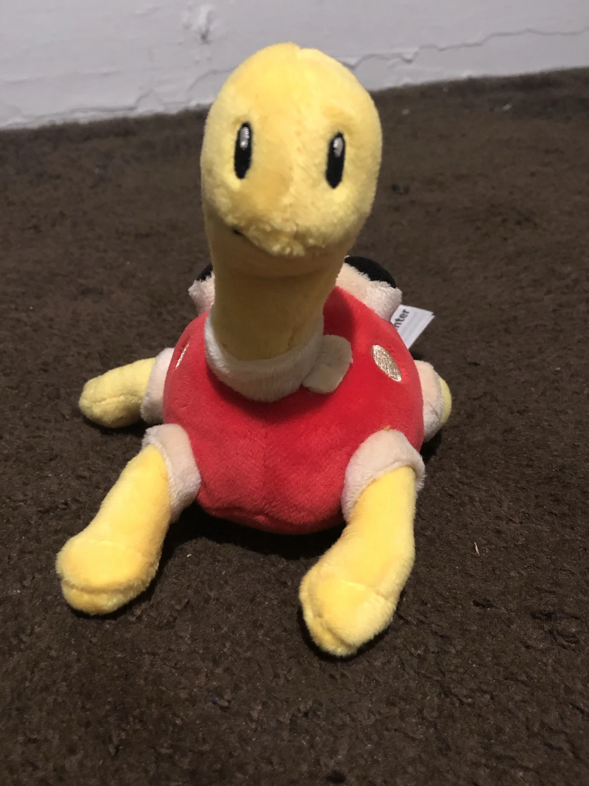 's Shuckle | Pokemon Return of the Champion Wiki | Fandom