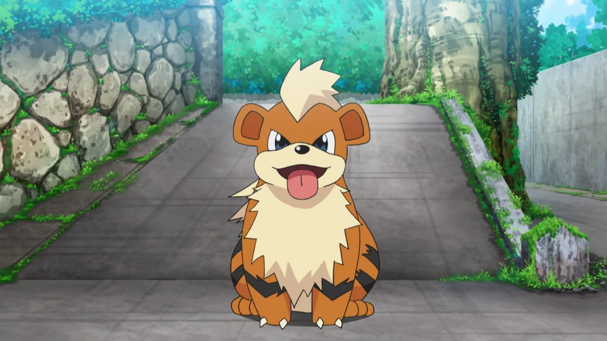 Ash's Arcanine | Pokemon Return of the Champion Wiki | Fandom