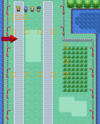 Route 17 | Pokemon Tower Defense Wiki | Fandom