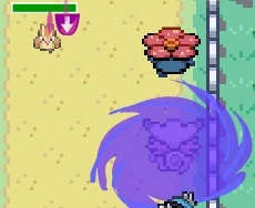 Gravity | Pokemon Tower Defense Wiki | Fandom