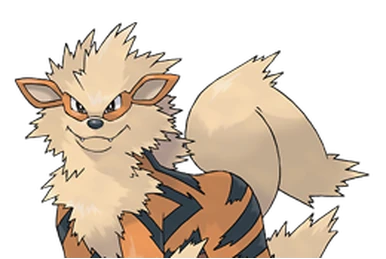 seel evolution level black 2