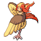 Humanoid Pidgeot | Pokemon Wack Wiki | Fandom