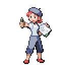 Painter | Pokemon Wack Wiki | Fandom