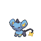 Beta Shinx | Pokemon Wack Wiki | Fandom