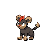 Litleo | Pokemon Wack Wiki | Fandom