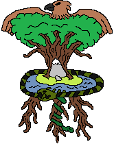 HIM (Wood) | Pokemon Wack Wiki | Fandom