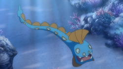 Huntail | Pokémon Wiki | Fandom