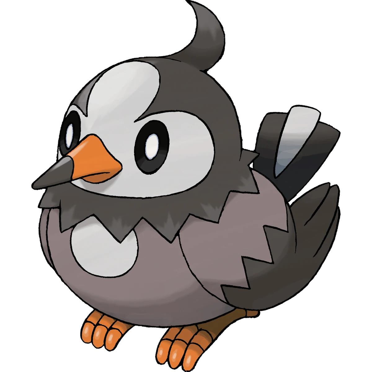 Starly | Pokémon Wiki | Fandom