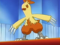 Combusken | Pokémon Wiki | Fandom