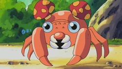 Paras | Pokémon Wiki | Fandom
