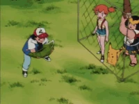 Metapod | Pokémon Wiki | Fandom