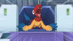 Archen | Pokémon Wiki | Fandom