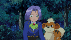 Growlie | Pokémon Wiki | Fandom