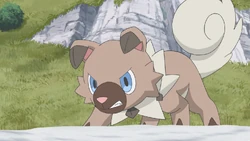 Rockruff | Pokémon Wiki | Fandom