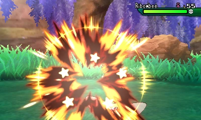 Kara | Pokémon Wiki | Fandom