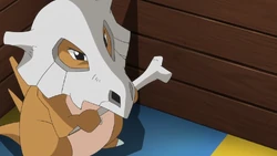 Cubone | Pokémon Wiki | Fandom