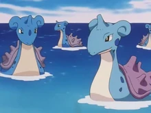 Lapras | Pokémon Wiki | Fandom
