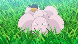 Exeggcute | Pokémon Wiki | Fandom