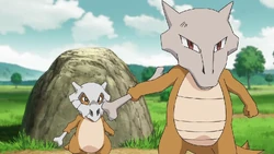 Marowak | Pokémon Wiki | Fandom