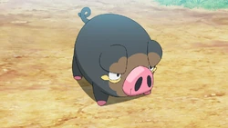 Lechonk | Pokémon Wiki | Fandom