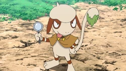 Smeargle | Pokémon Wiki | Fandom