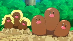 Dugtrio | Pokémon Wiki | Fandom