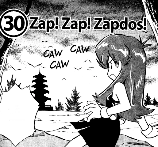 PS030 | Pokémon Wiki | Fandom