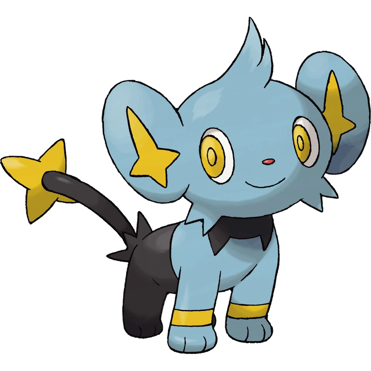 Shinx | Pokémon Wiki | Fandom