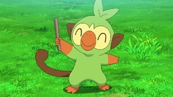Grookey | Pokémon Wiki | Fandom