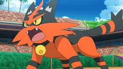 Torracat | Pokémon Wiki | Fandom