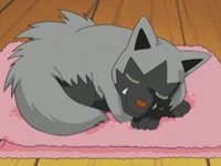 Katrina (AG011) | Pokémon Wiki | Fandom