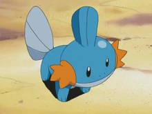 Mudkip | Pokémon Wiki | Fandom