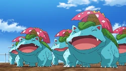 Venusaur | Pokémon Wiki | Fandom